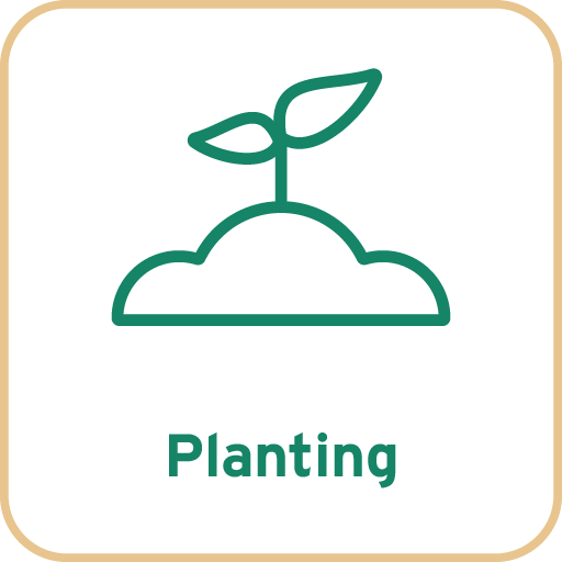 Calgary Tree Planting Society – Plant Trees, Save the Earth