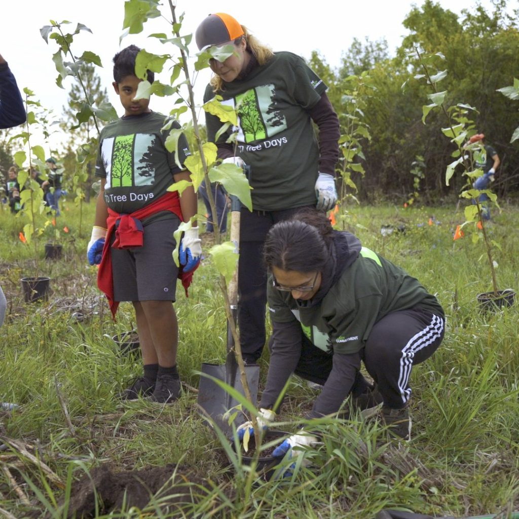 How-To – Calgary Tree Planting Society